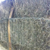 Gallery | Otto's Coastal Hay