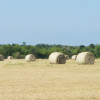 Gallery | Otto's Coastal Hay